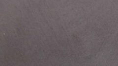 Tactite Architectural Coating | Order Armourcoat Sample