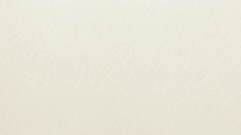 Smooth Polished Plaster | Order Armourcoat Sample