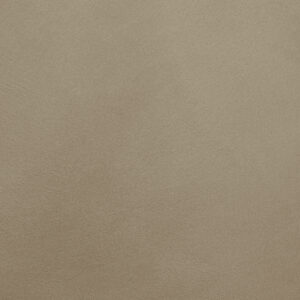 Tactite Decorative Paint | Order Armourcoat Sample